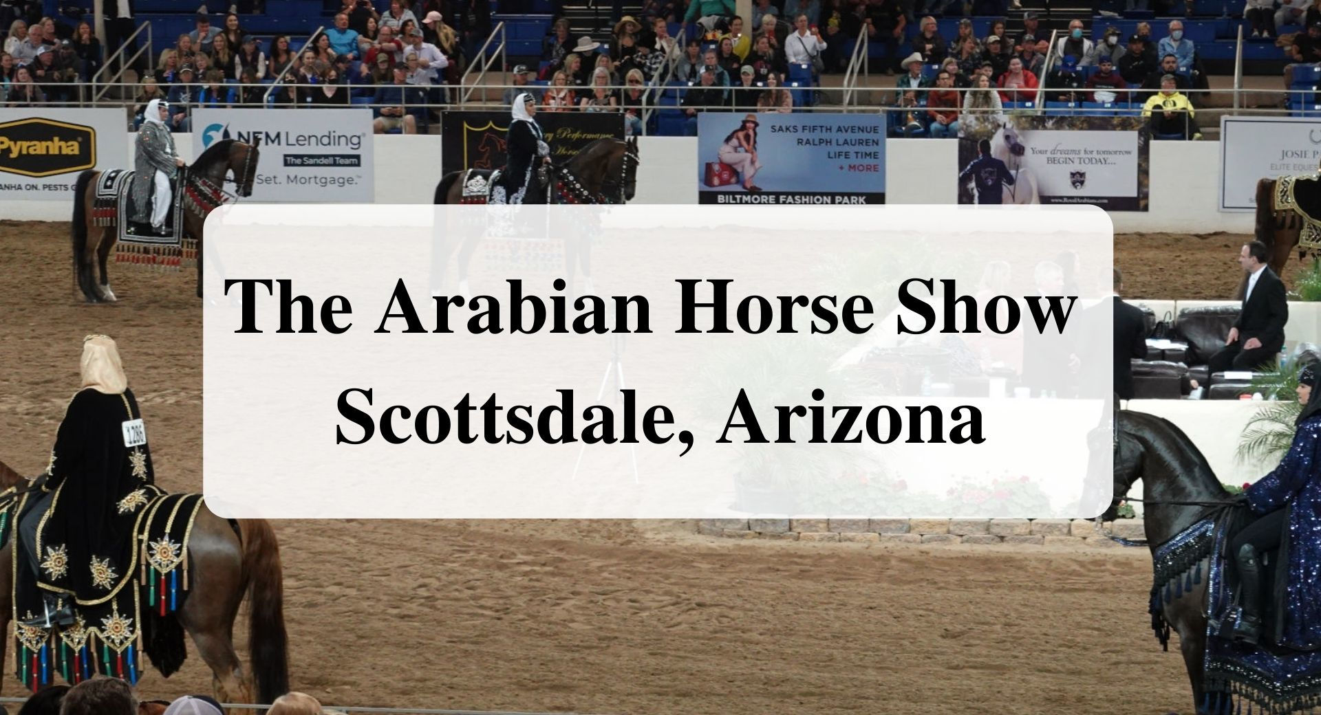 The Scottsdale Arabian Horse Show Forever Sabbatical The Scottsdale Arabian Horse Show Forever Sabbatical