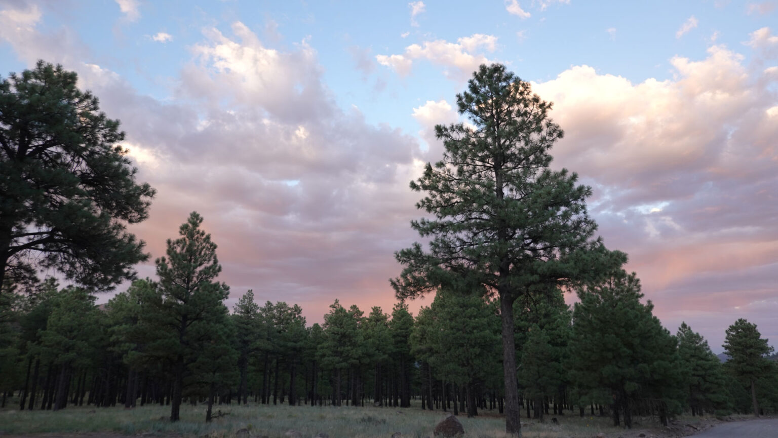 Hiking Inner Basin Trail No. 29 Flagstaff, Arizona - Forever Sabbatical