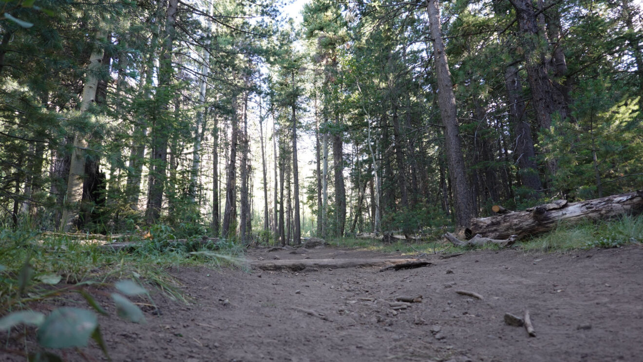 Hiking Inner Basin Trail No. 29 Flagstaff, Arizona - Forever Sabbatical