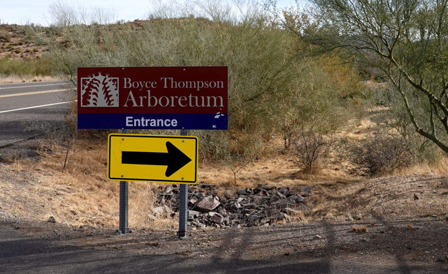 Arizona Autumn at Boyce Thompson Arboretum - Forever Sabbatical
