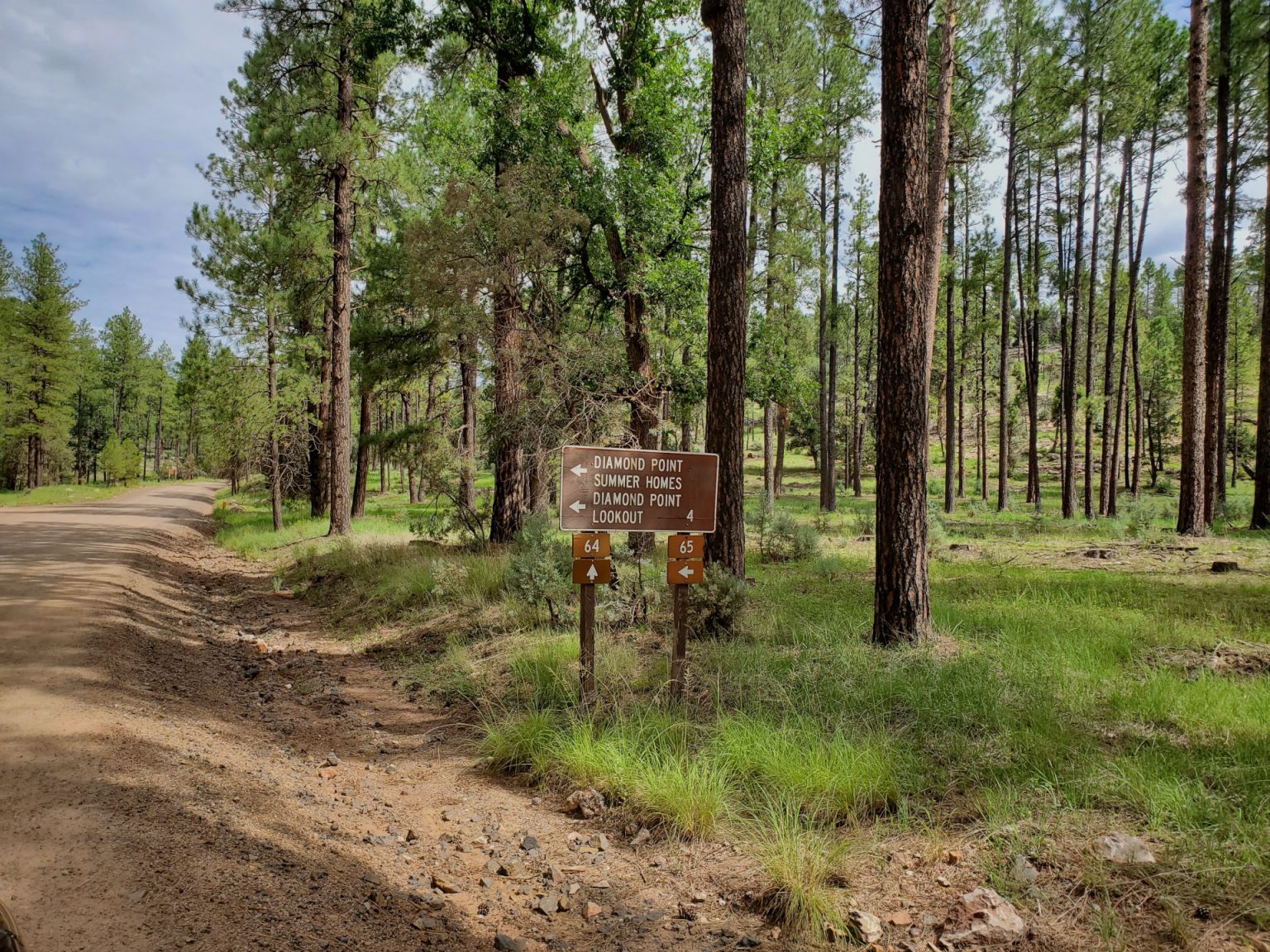 Diamond Point Arizona: Guide to Finding Quartz Crystals - Forever ...