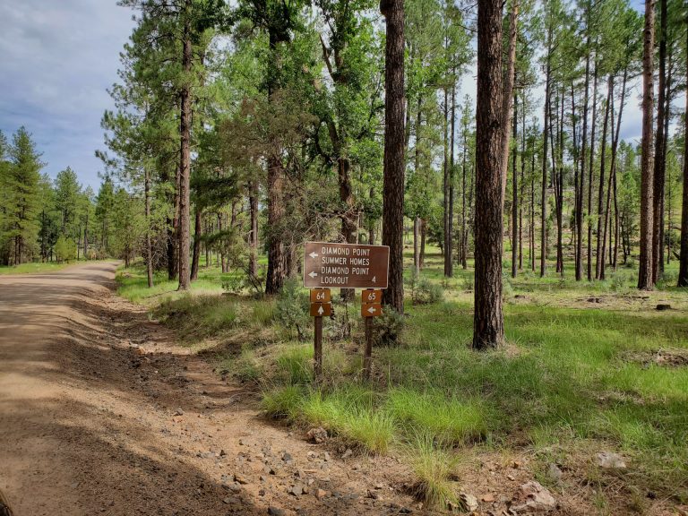 Diamond Point Arizona: Guide to Finding Quartz Crystals - Forever ...