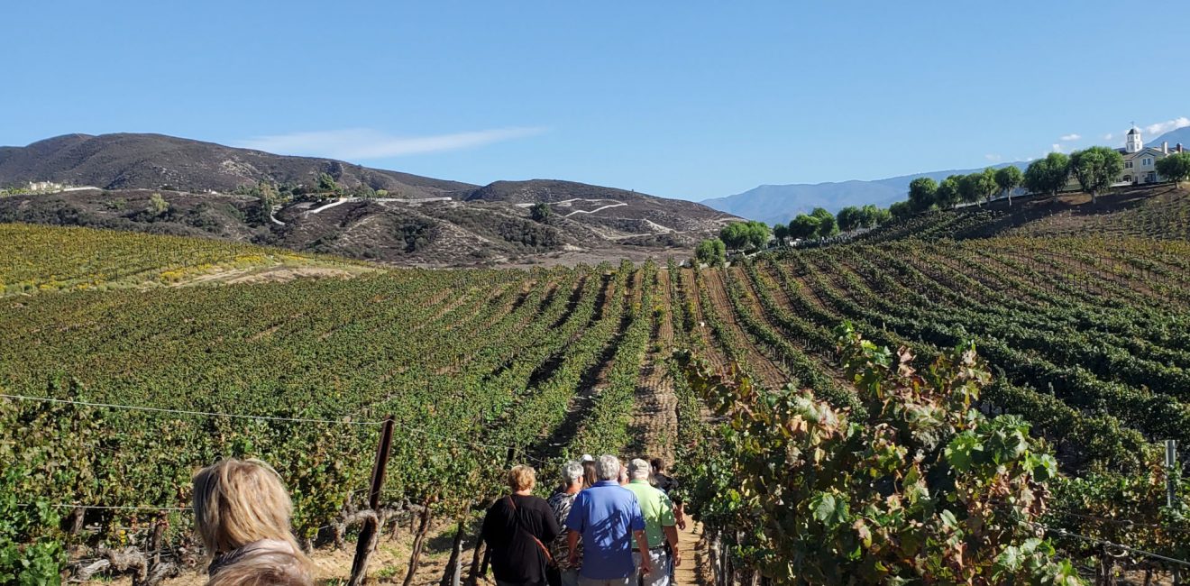 Wine Tasting in Temecula Valley, California - Forever Sabbatical