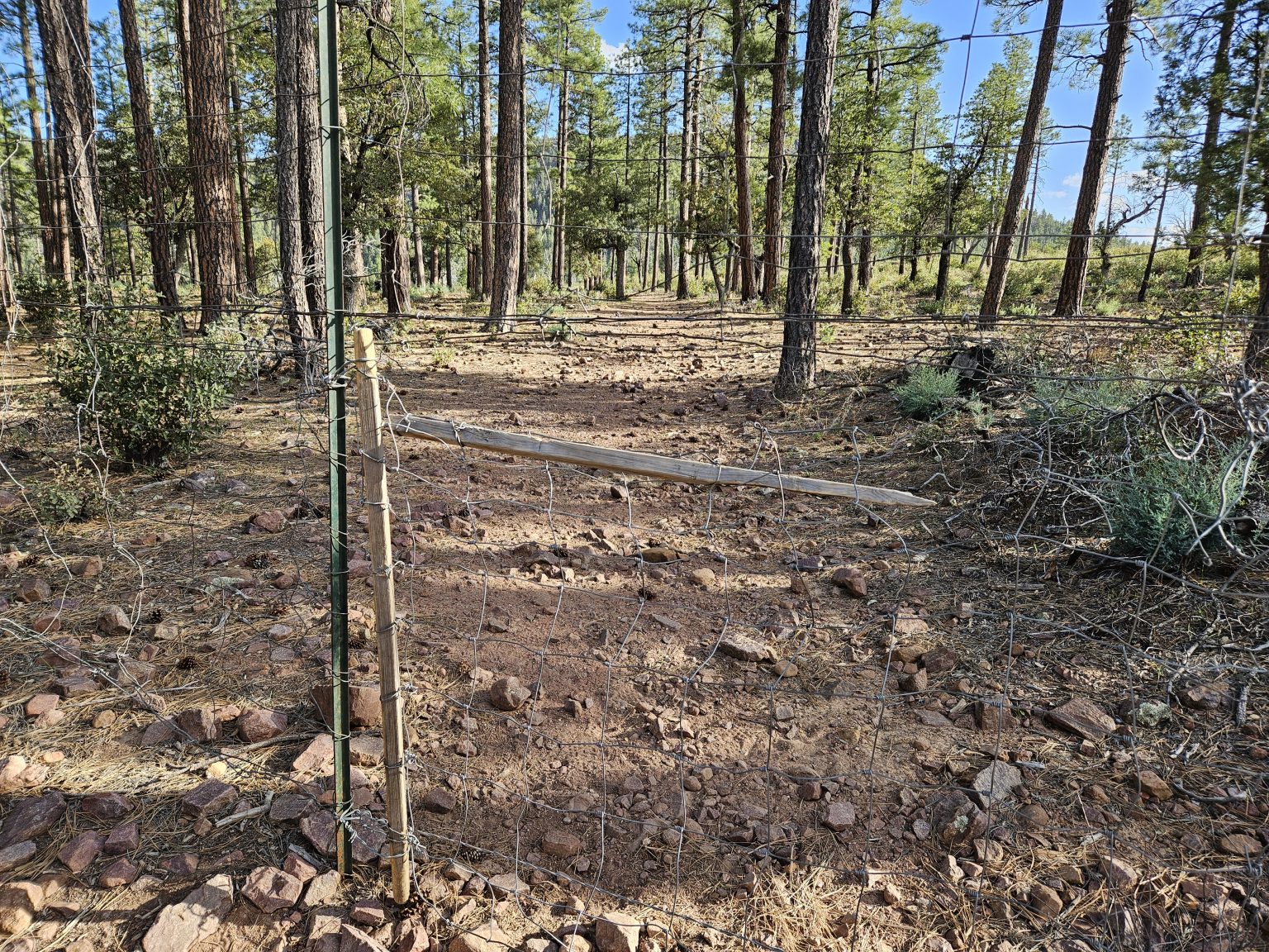 Box Canyon Hike Payson Arizona: Hidden Gem Of Christopher Creek ...