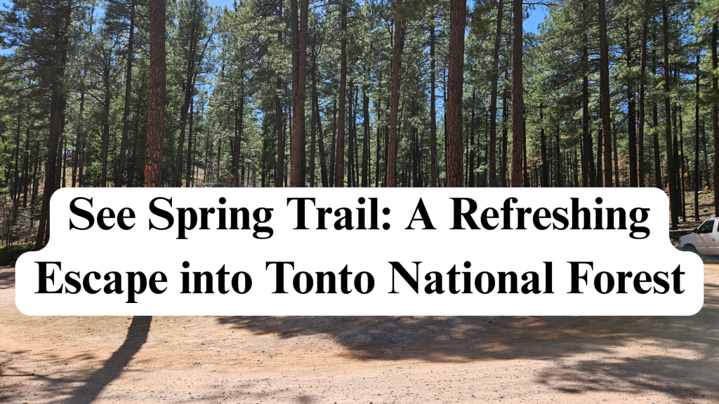 See Spring Trail: A Refreshing Escape into Tonto National Forest ...