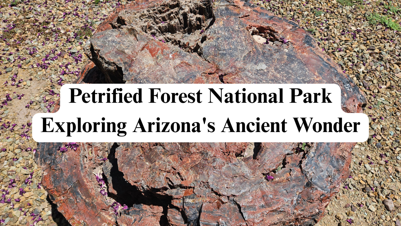 Petrified Forest National Park: Our Mid-June Trip from Phoenix ...